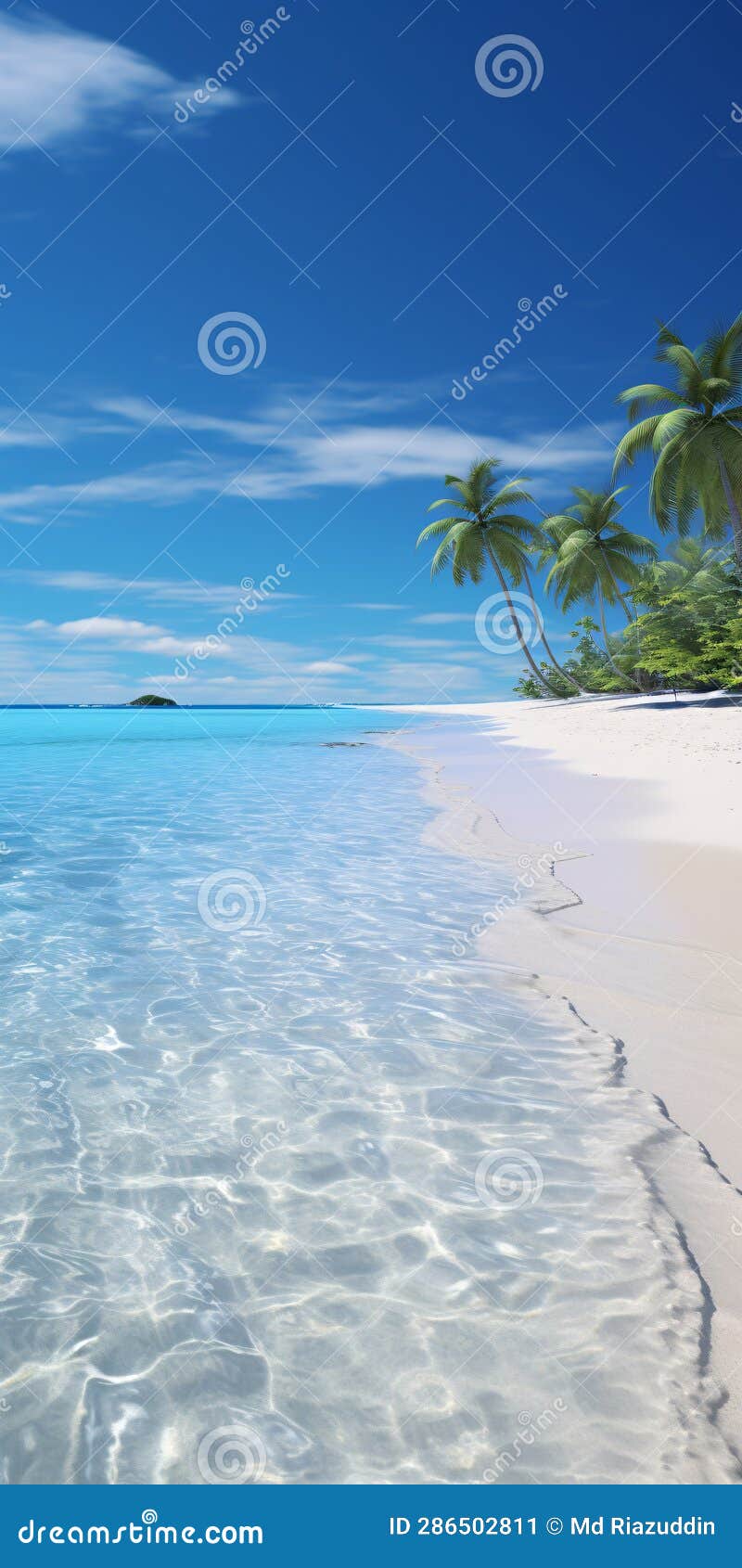 Wide White Sandy Beach and Horizontal Palm from the Front Stock ...