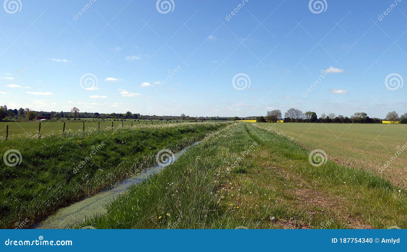 Pleasant Path by Ditch and Fields Stock Photo - Image of fence, light ...