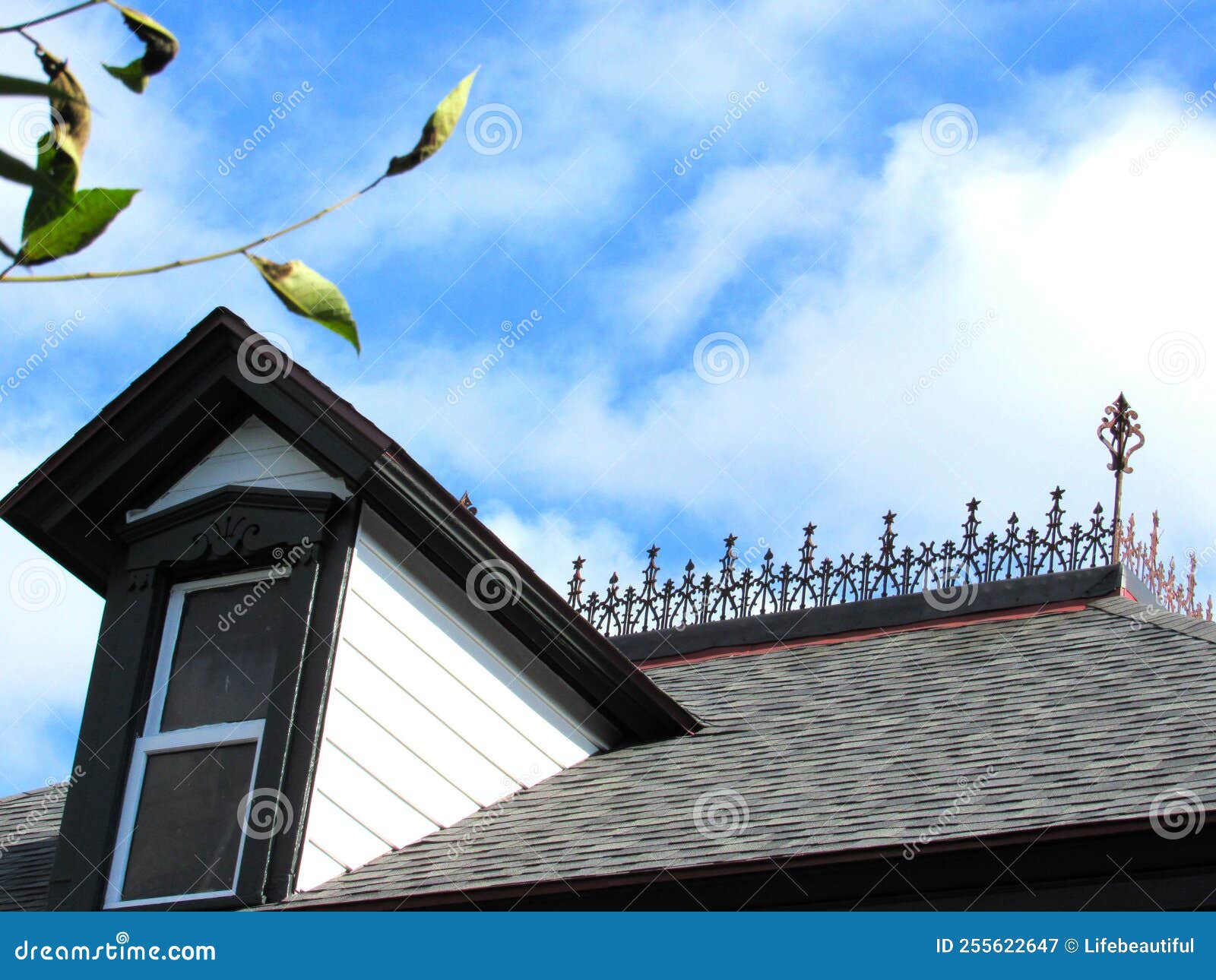 Widows peak stock image. Image of building, widows, home - 255622647