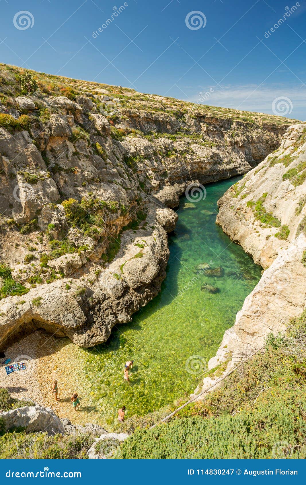 Wied Il-Ghasri, Gozo, Malta Stock Image - Image of green, nature: 114830247