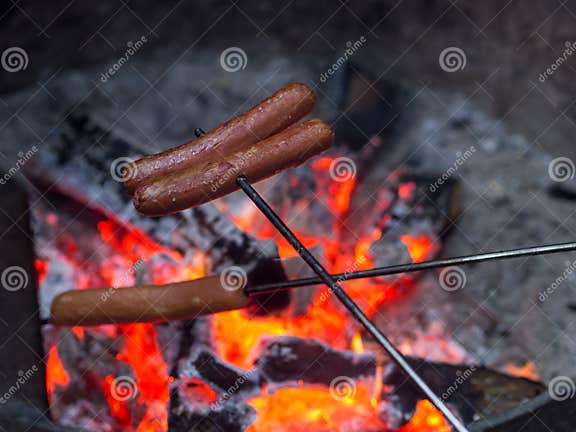 Wiener roast on campfire stock photo. Image of heat, wiener - 32331354