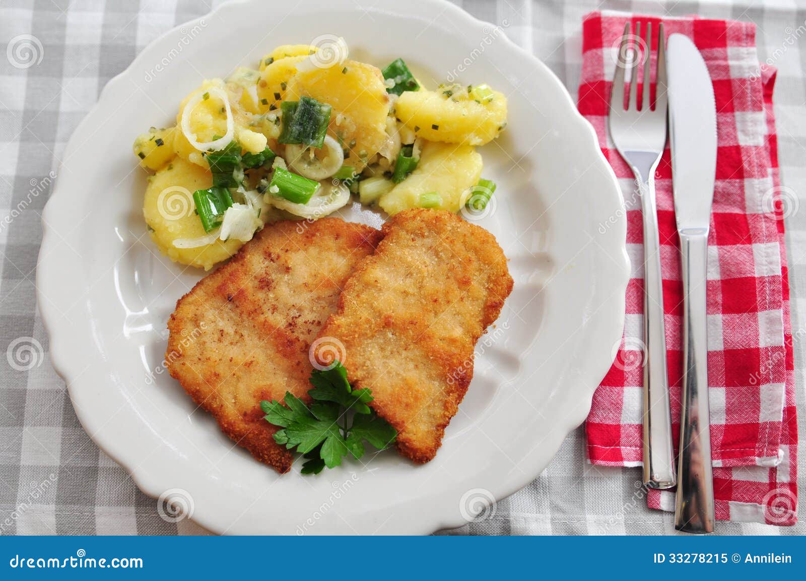 Wiener Schnitzel stock image. Image of lettuce, delicious - 33278215