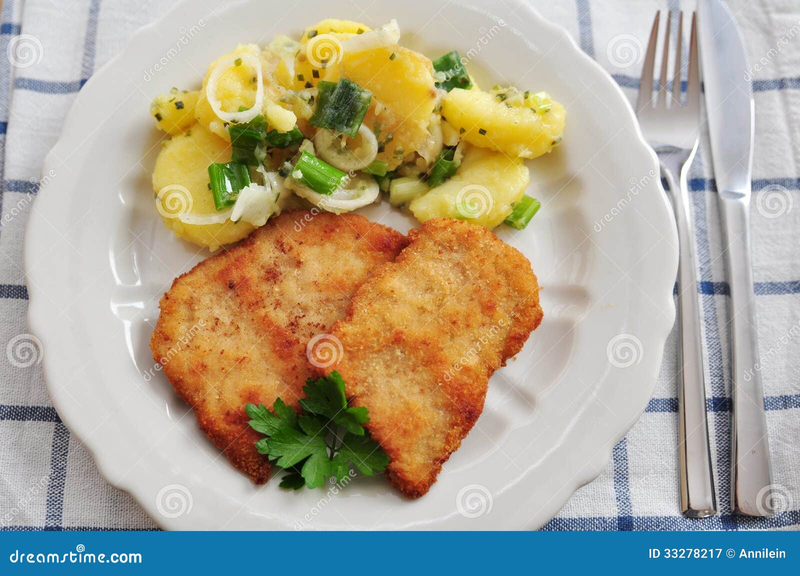 Wiener Schnitzel stock image. Image of meal, appetizing - 33278217