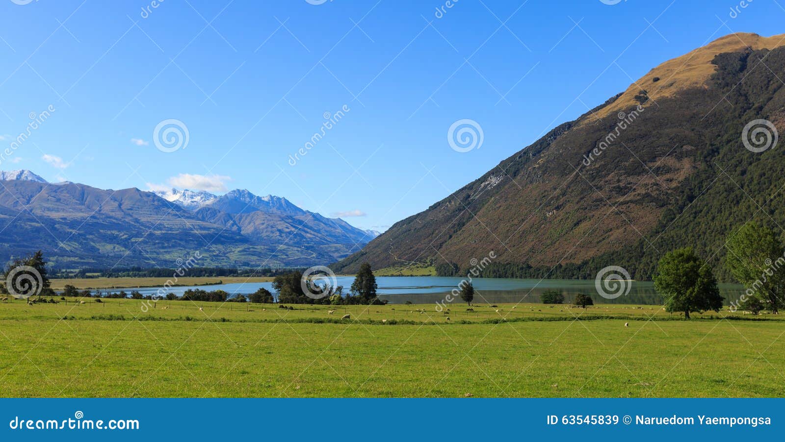 Wiese, See Und Berglandschaft Stockbild - Bild von hochländer, spitze ...