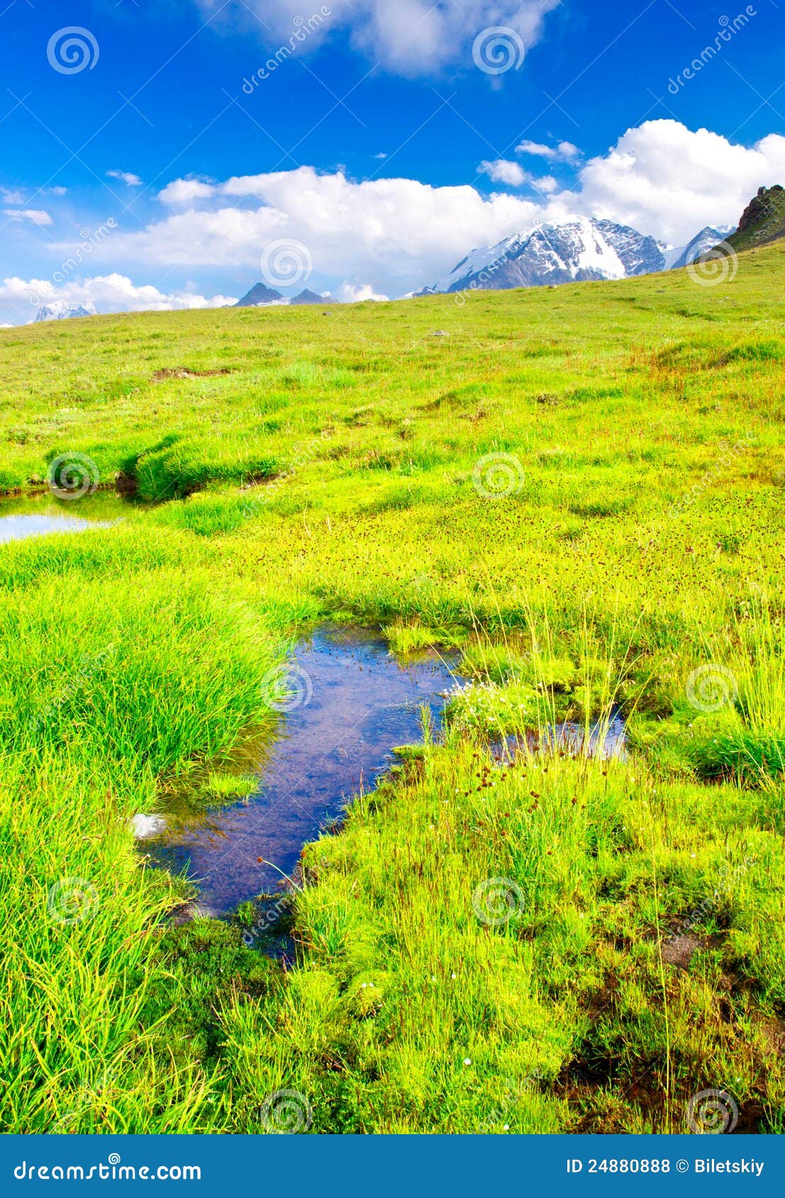 Wiese und See stockfoto. Bild von majestätisch, land - 24880888