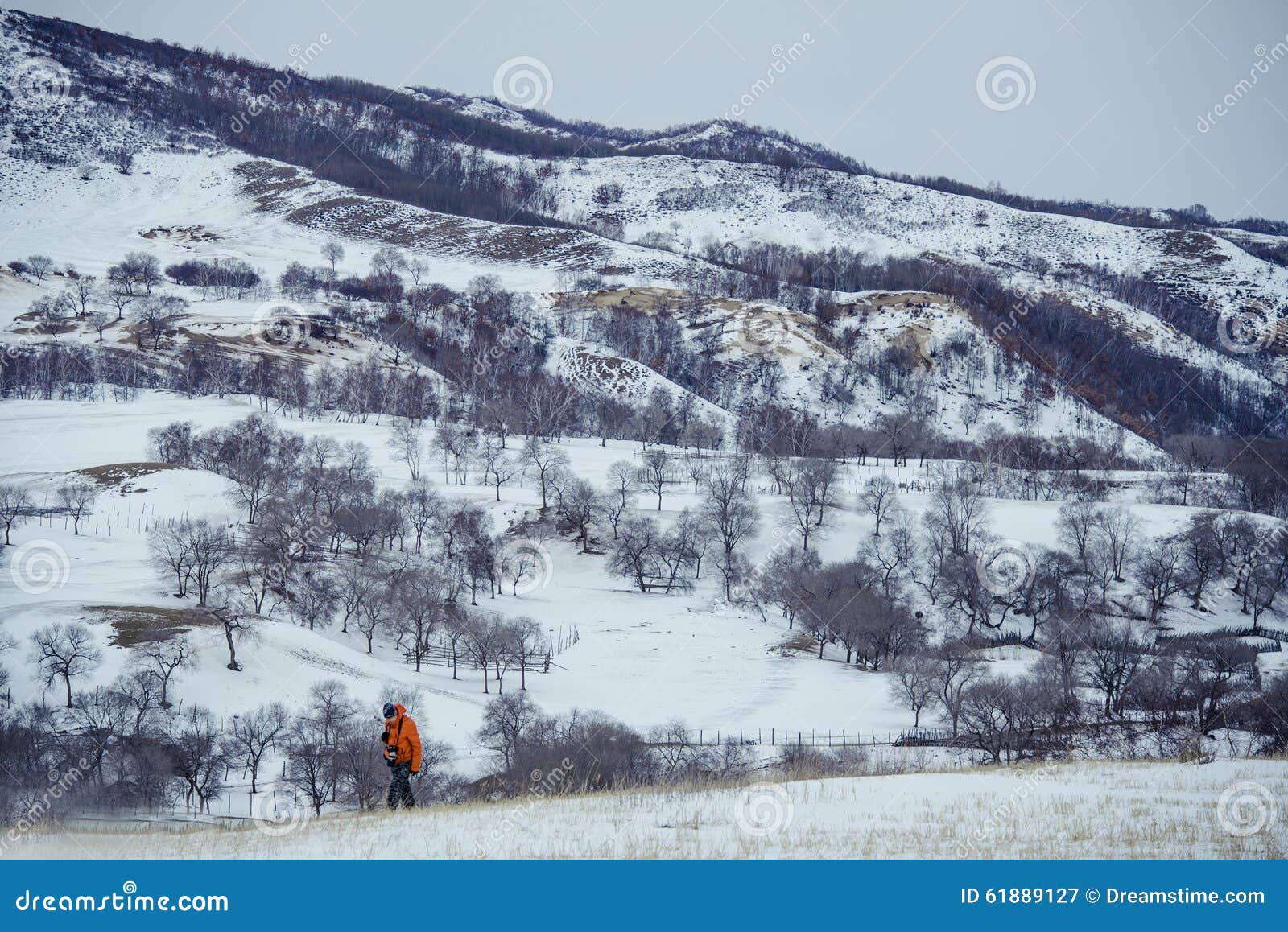 Wiesen Ulan Buh im Winter redaktionelles stockfotografie. Bild von ...