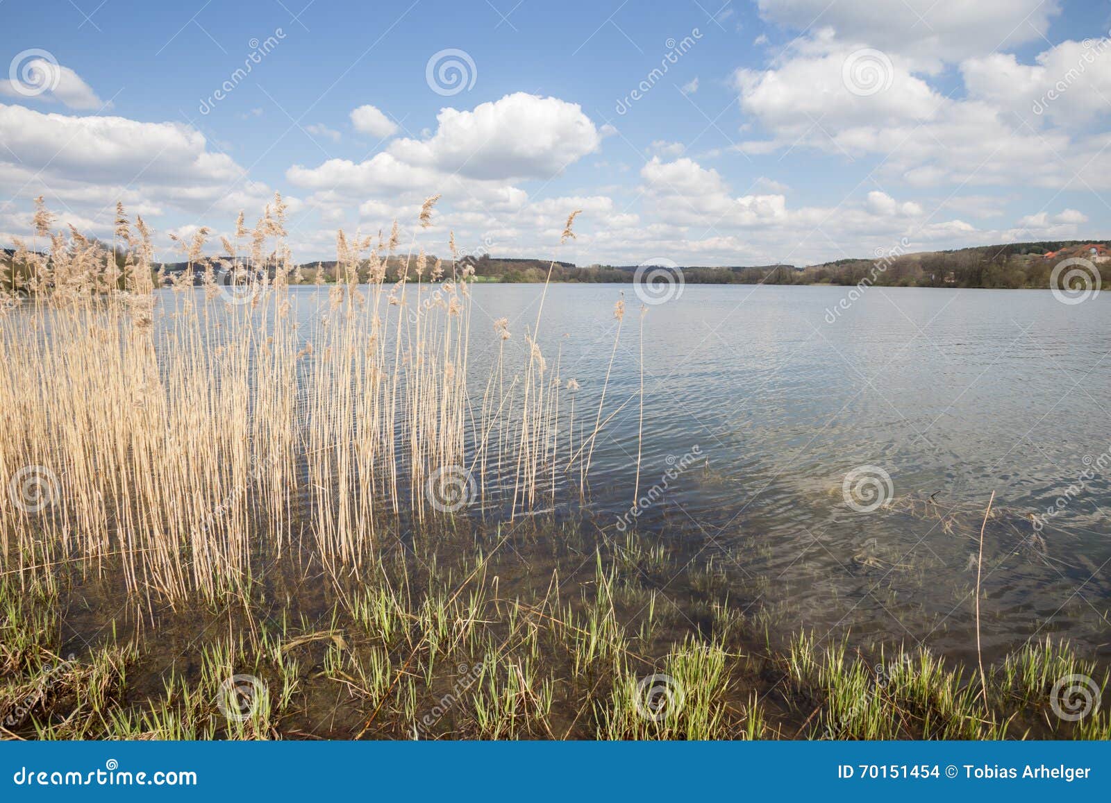 Wiesensee Reservoir Westerwald Deutschland Stockfoto - Bild von ...