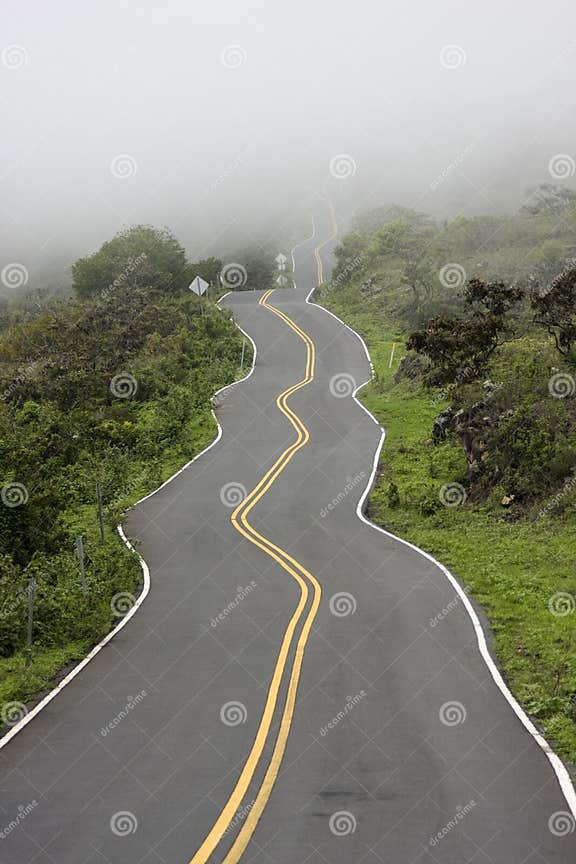 Wiggly Road stock image. Image of yellow, curves, mist - 3822859