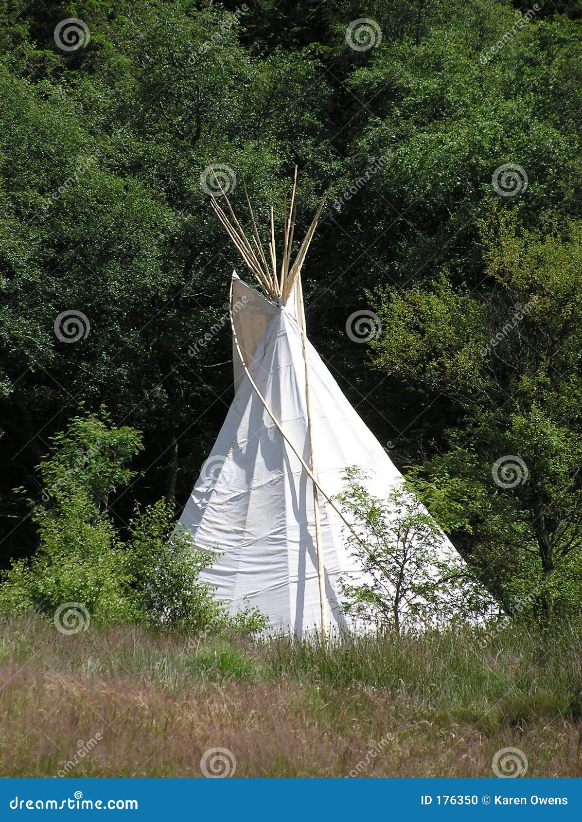 Wigwam stock photo. Image of native, tradition, tent, homestead - 176350