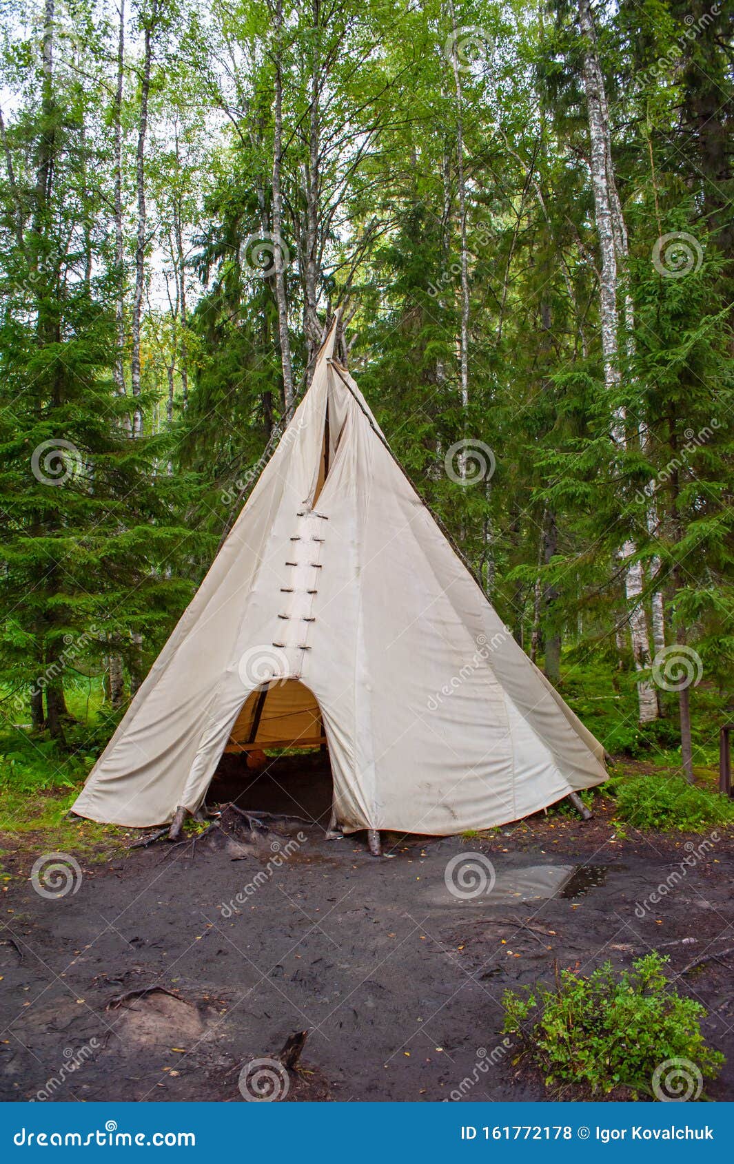 Wigwam teepee in forest stock photo. Image of shelter - 161772178
