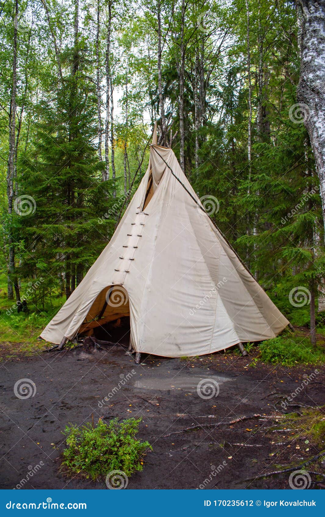 Wigwam teepee in forest stock photo. Image of cone, indian - 170235612