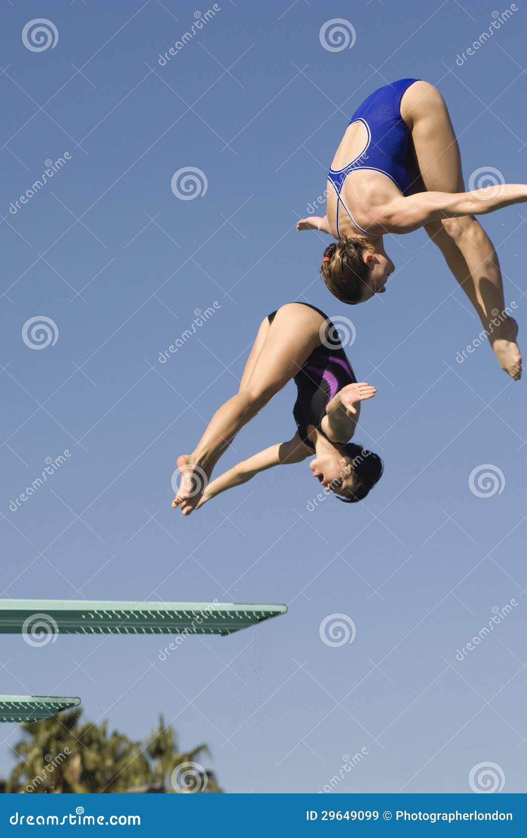 Wijfje Dat Van Springplank Duikt Stock Afbeelding - Image of sprong ...