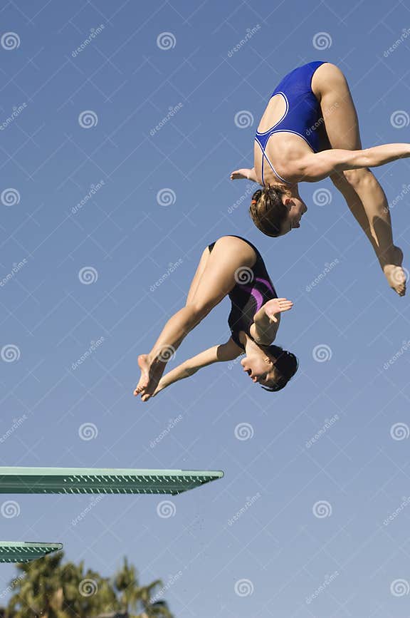 Wijfje Dat Van Springplank Duikt Stock Afbeelding - Image of sprong ...