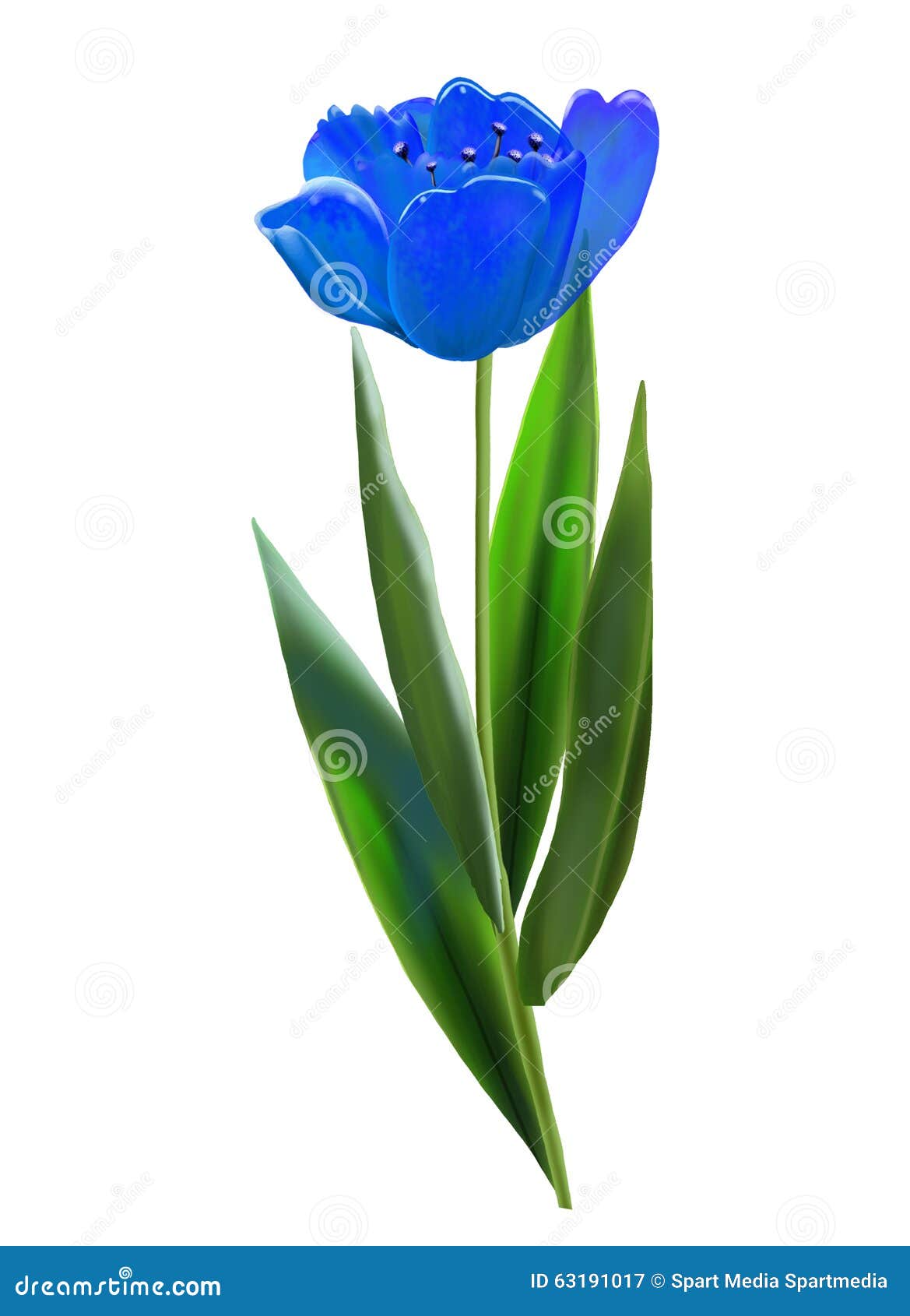 WIJNOOGST de BLAUWE tulp stock afbeelding. Image of digitaal - 63191017