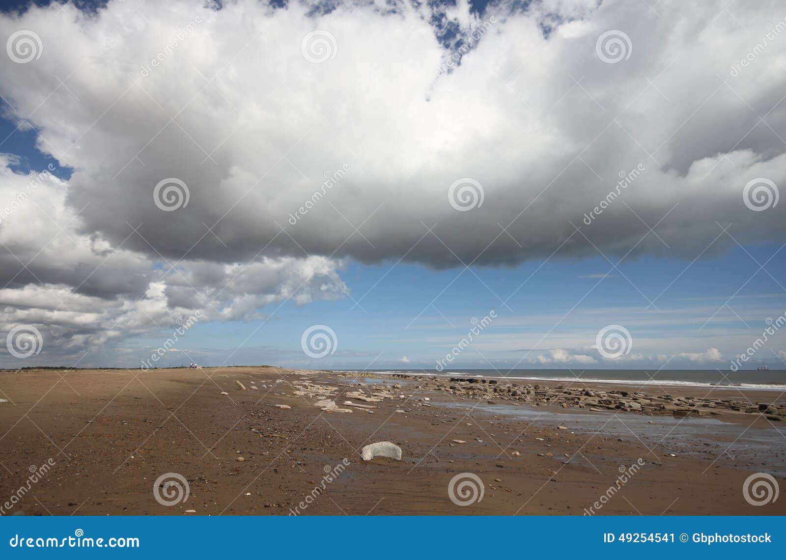 Wijs Het Estuarium Van Punthumber Af Stock Afbeelding - Image of ...