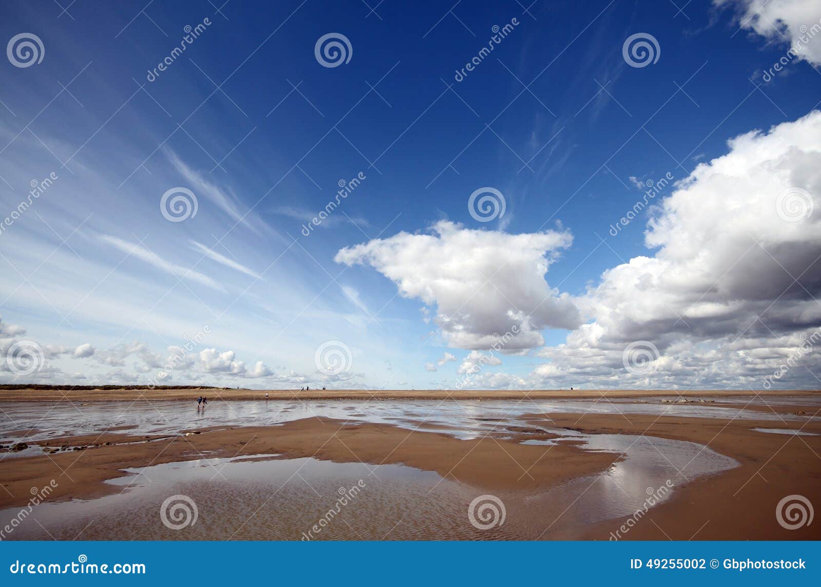 Wijs Het Estuarium Van Punthumber Af Stock Foto - Image of zand, wild ...