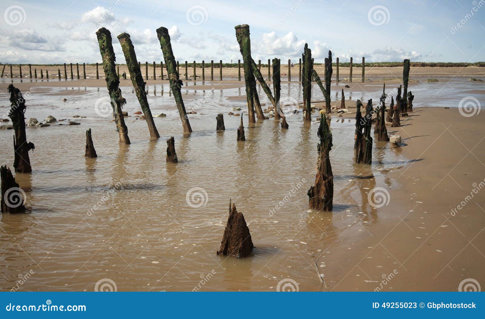 Wijs Het Estuarium Van Punthumber Af Stock Afbeelding - Image of ...