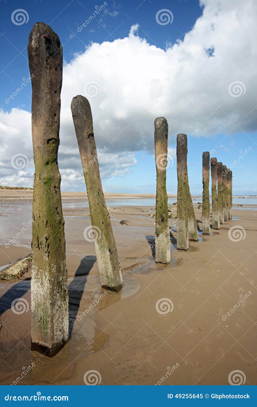 Wijs Het Estuarium Van Punthumber Af Stock Afbeelding - Image of wild ...