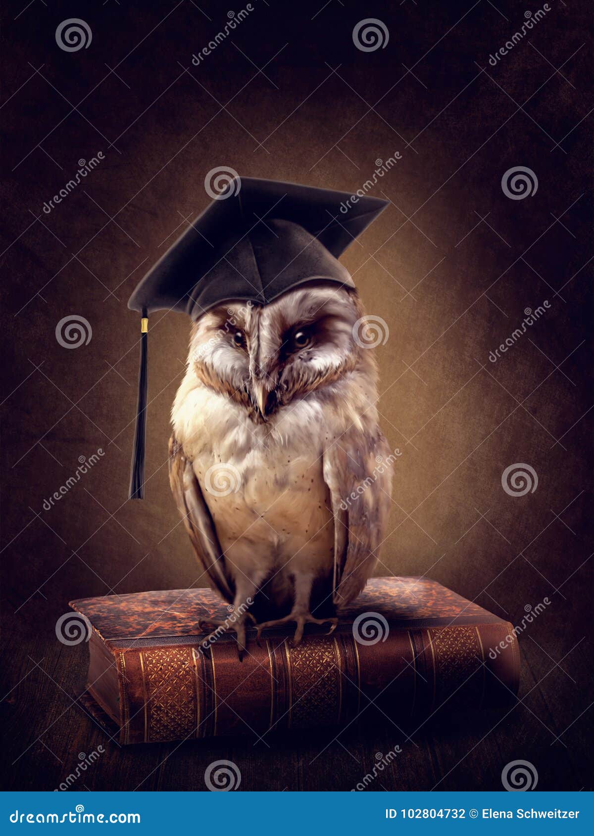 Wijze Uil stock foto. Image of hoop, leren, collage - 102804732