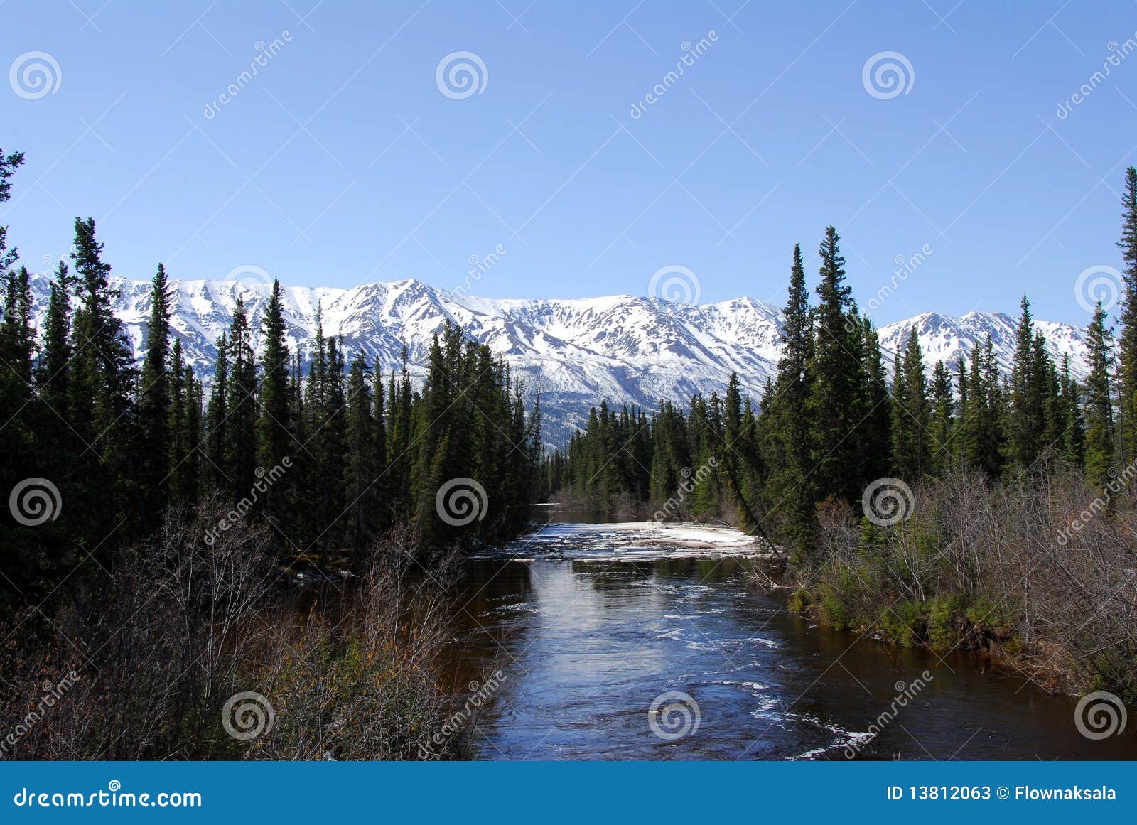 Wild Alaskan river stock image. Image of natural, pristine - 13812063