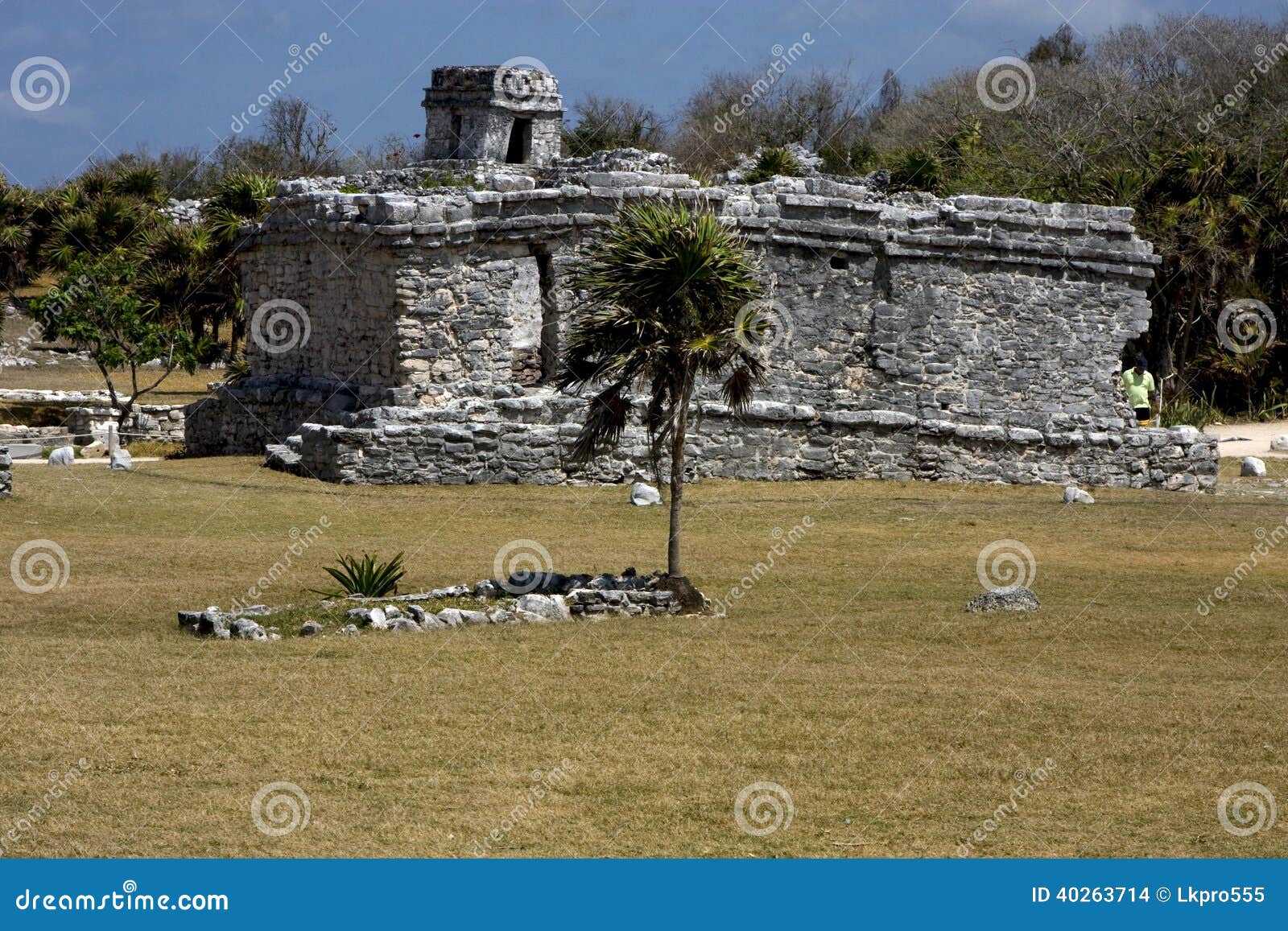 Wild Angle of the Tulum Temple in Mexico America Stock Photo - Image of ...
