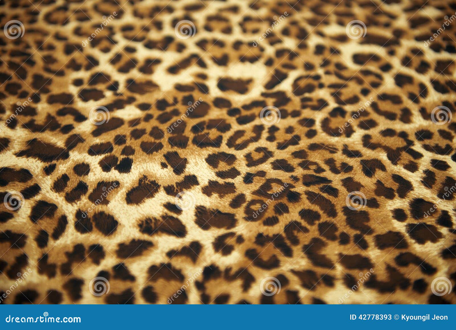 Wild animal pattern stock image. Image of puma, orange - 42778393
