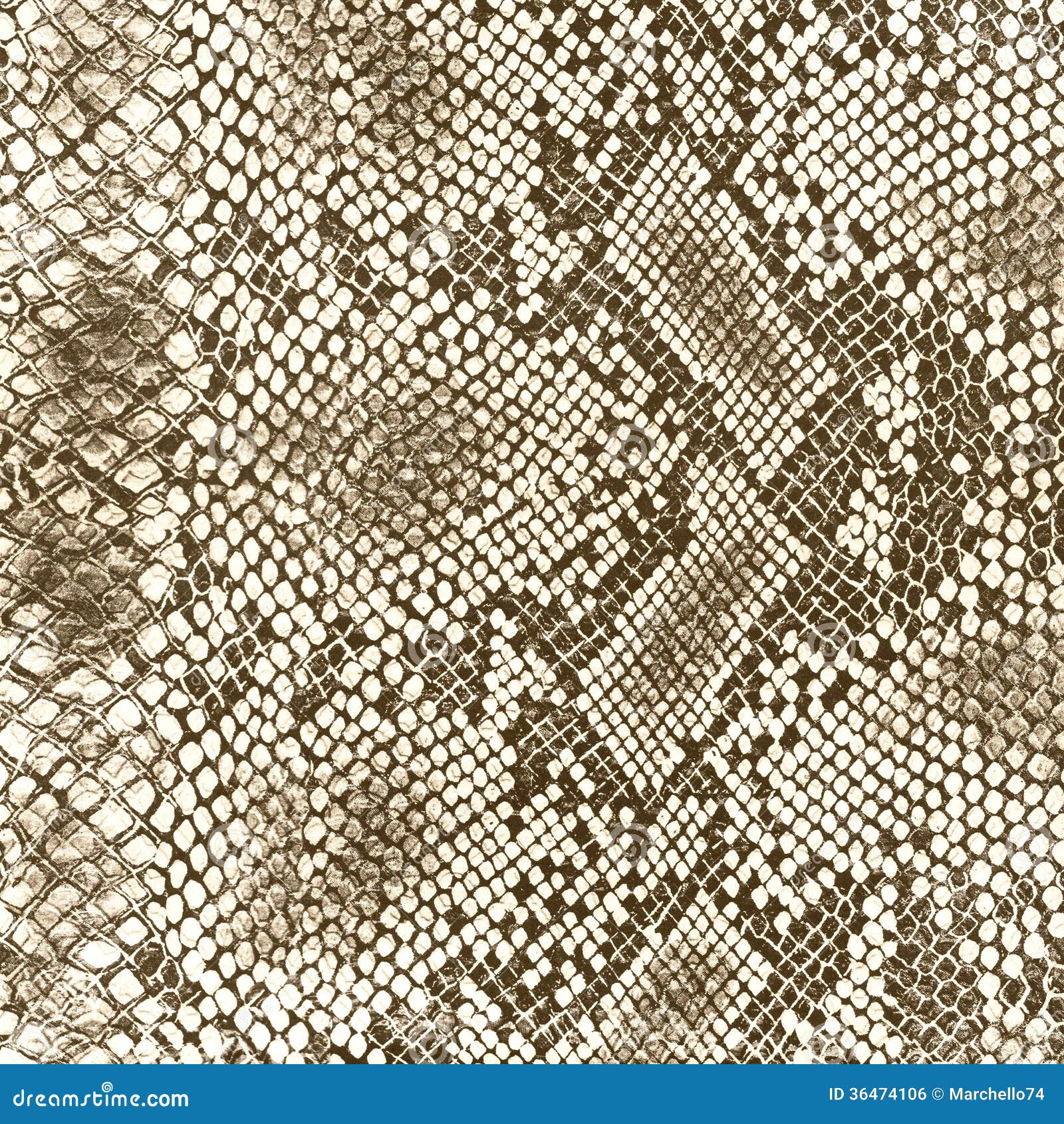 Wild animal skin pattern stock photo. Image of alligator - 36474106