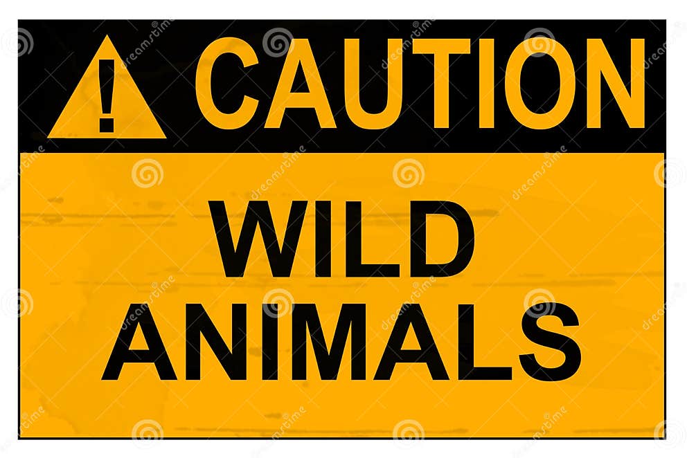 Wild Animals Caution Sign Isolated Stock Illustration - Illustration of ...