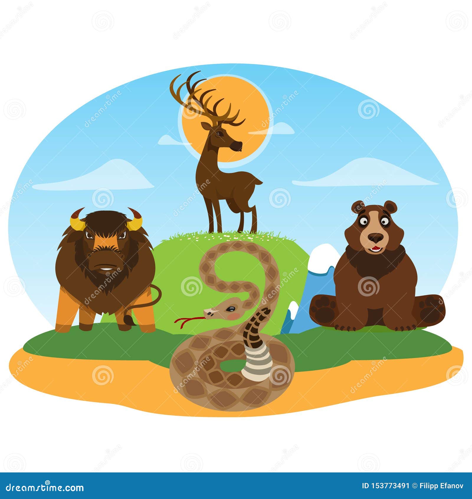 Chordates Zoology With Detailed Inner Anatomy Structure Outline Diagram ...