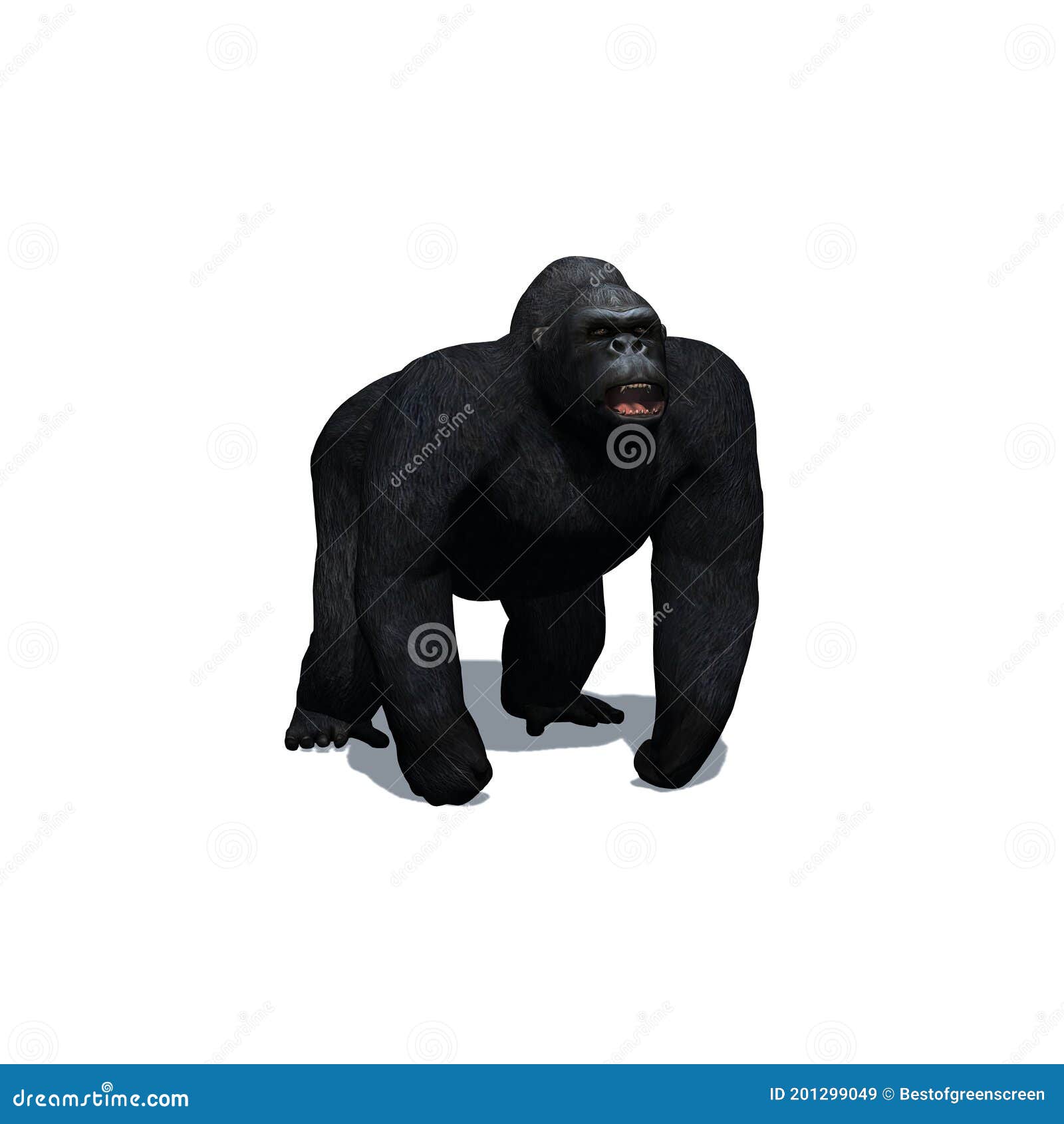 Wild Animals - Gorilla with Shadow on the Floor - Isolated on White ...