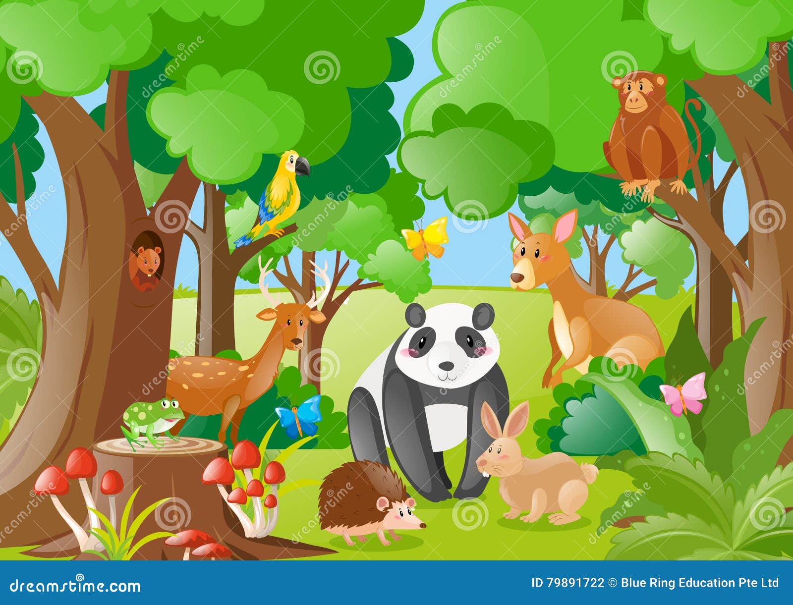 Wild Animals Living in the Forest Stock Vector - Illustration of forest ...