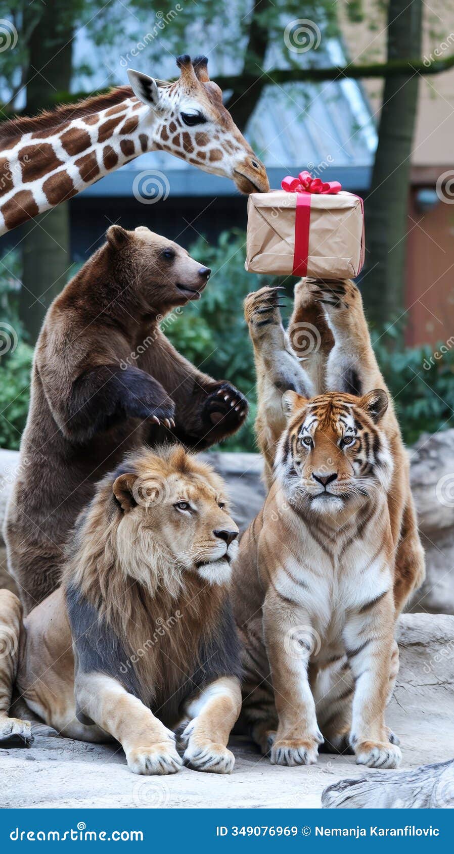 Wild Animals Posing Together with Present in Zoo Setting Stock ...