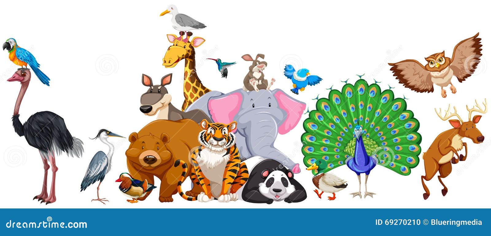 Wild Animals Standing in Group Stock Vector - Illustration of duck ...