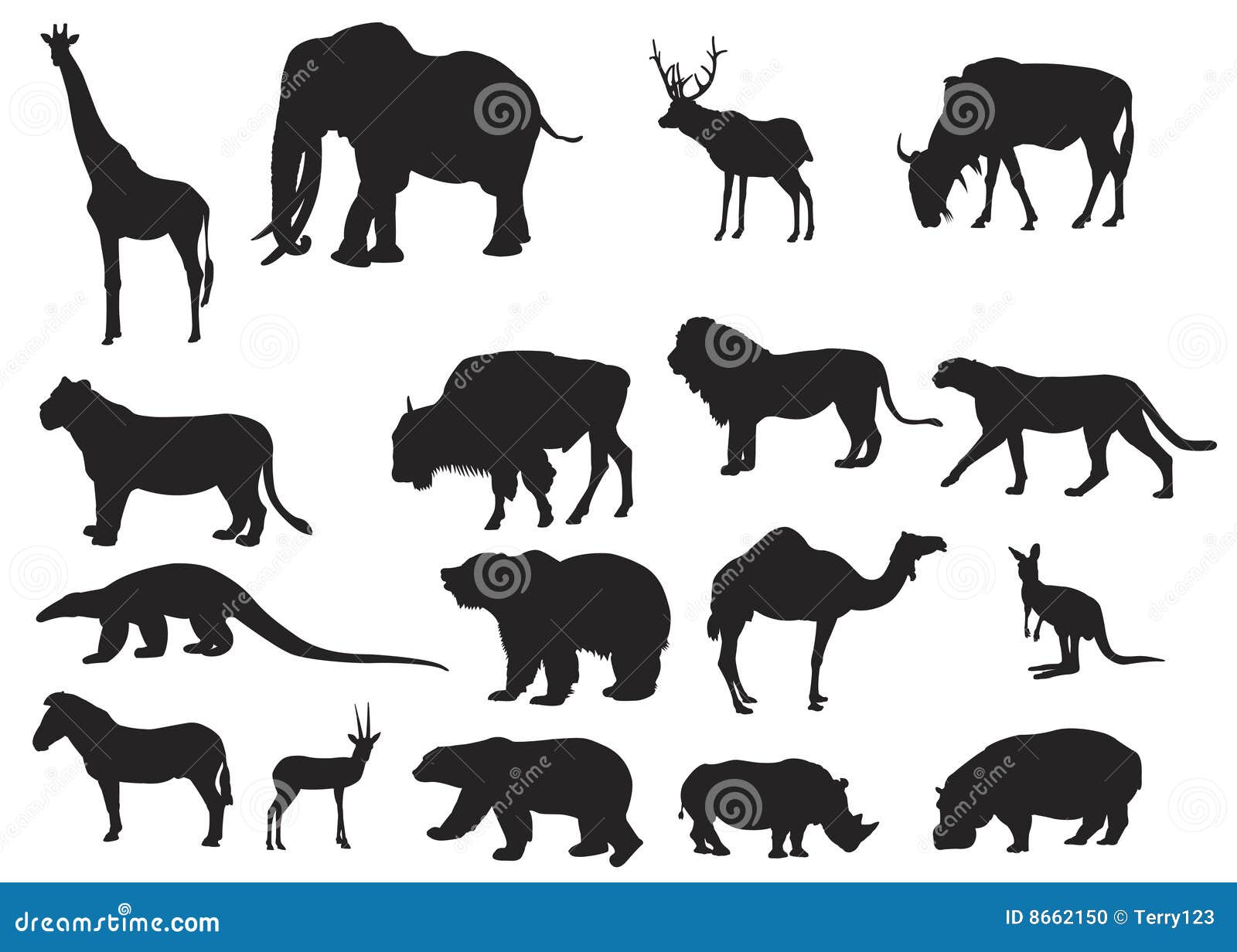 Wild animals various stock vector. Illustration of predator - 8662150