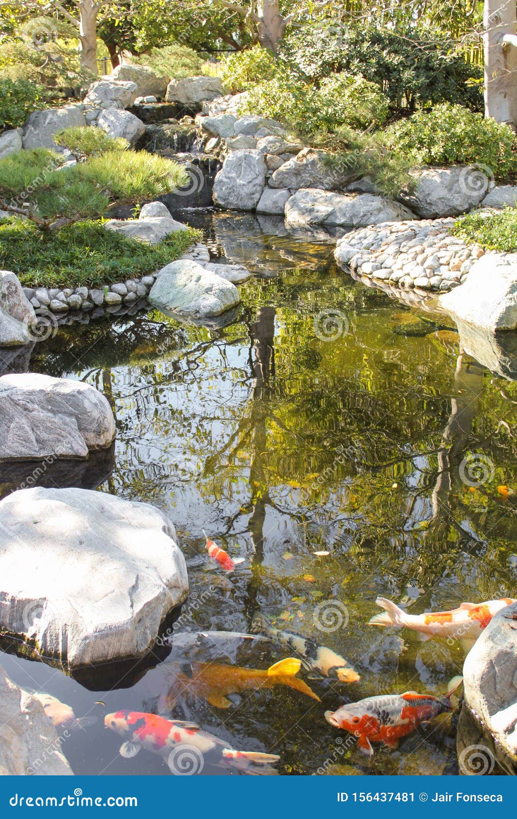 Wild Animals in a Zoo. Natural Landscape Stock Image - Image of african ...