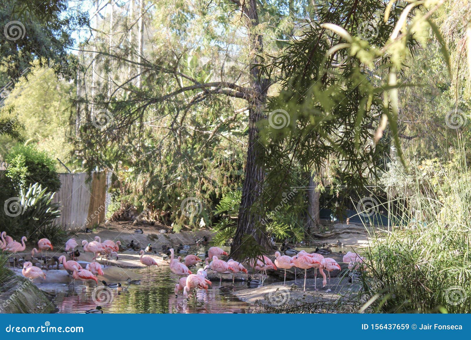 Wild Animals in a Zoo. Natural Landscape Stock Image - Image of ...