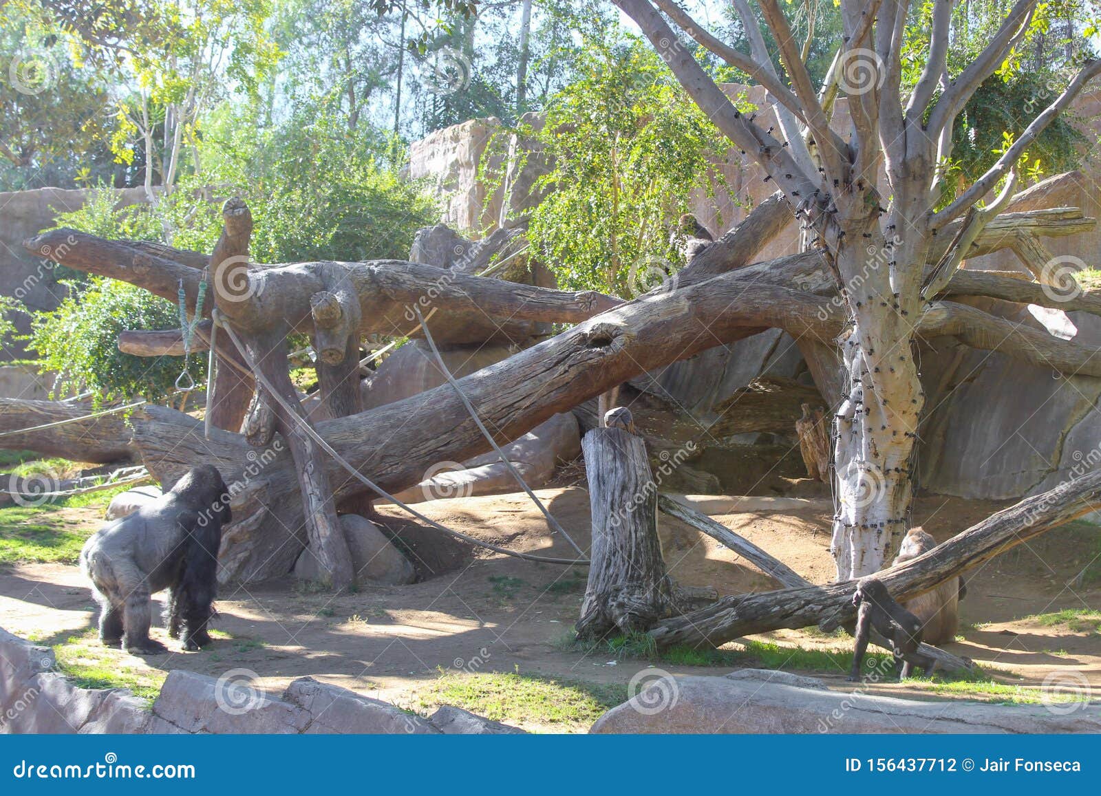 Wild Animals in a Zoo. Natural Landscape Stock Photo - Image of nature ...