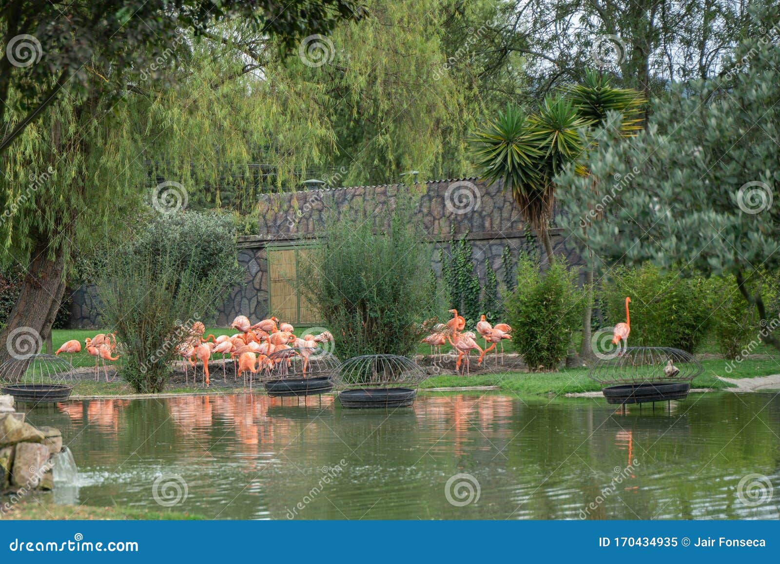 Wild Animals in a Zoo. Natural Landscape Stock Image - Image of leader ...