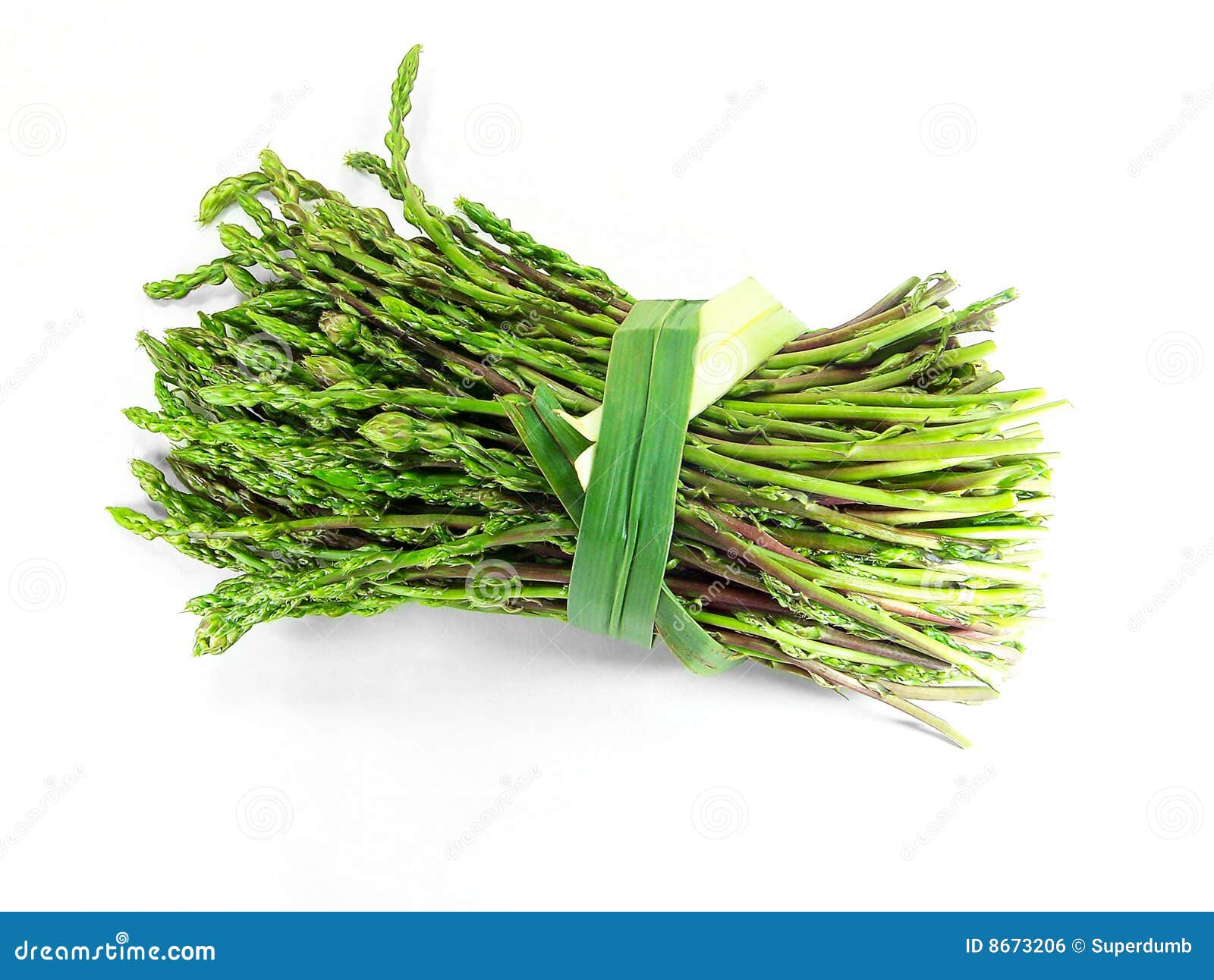 Wild Asparagus(Asparagus Acutifolius) Stock Photo - Image of fresh ...