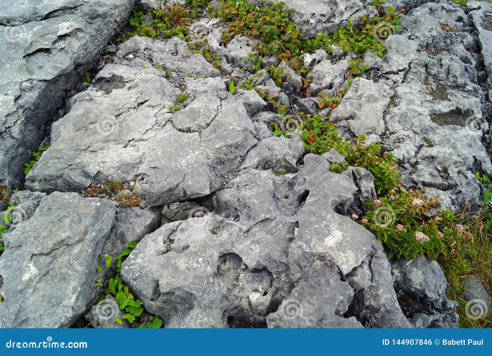 Wild Atlantic Way Walk To Burren Cliffs of Moher Geopark Stock Photo ...