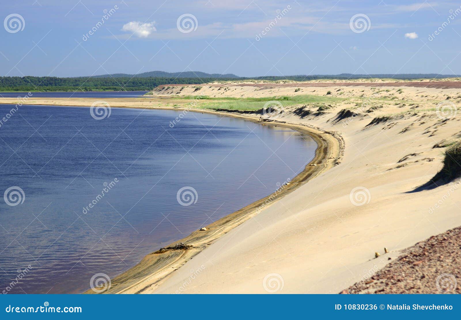 Wild beach stock photo. Image of tranquil, idyllic, beach - 10830236