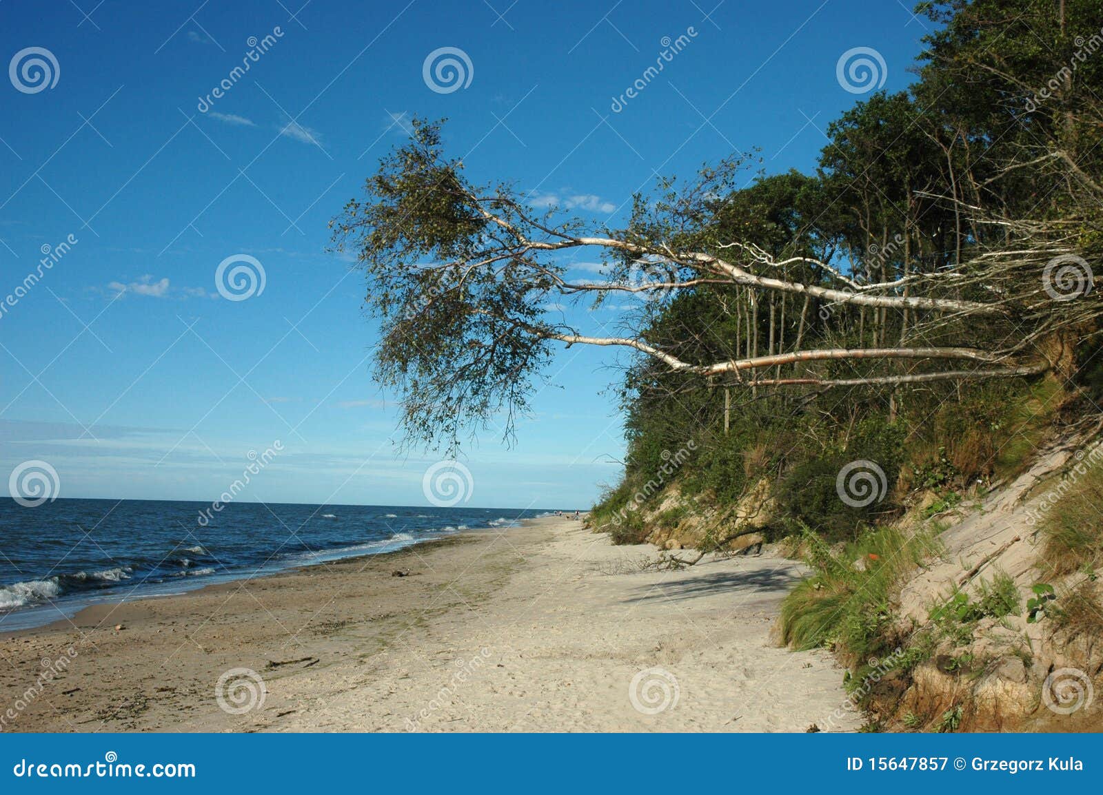 Wild beach stock image. Image of water, cloud, ocean - 15647857