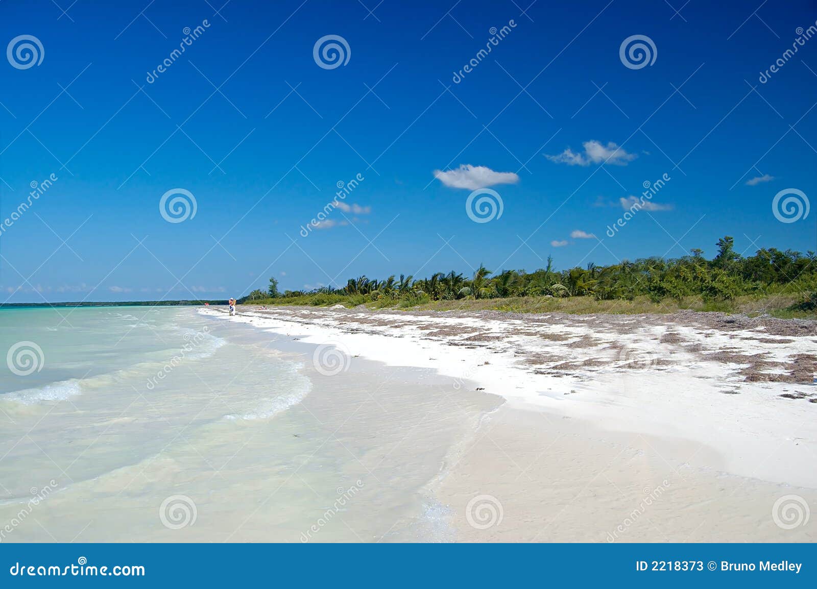 Wild beach stock image. Image of dreams, coastline, destinations - 2218373