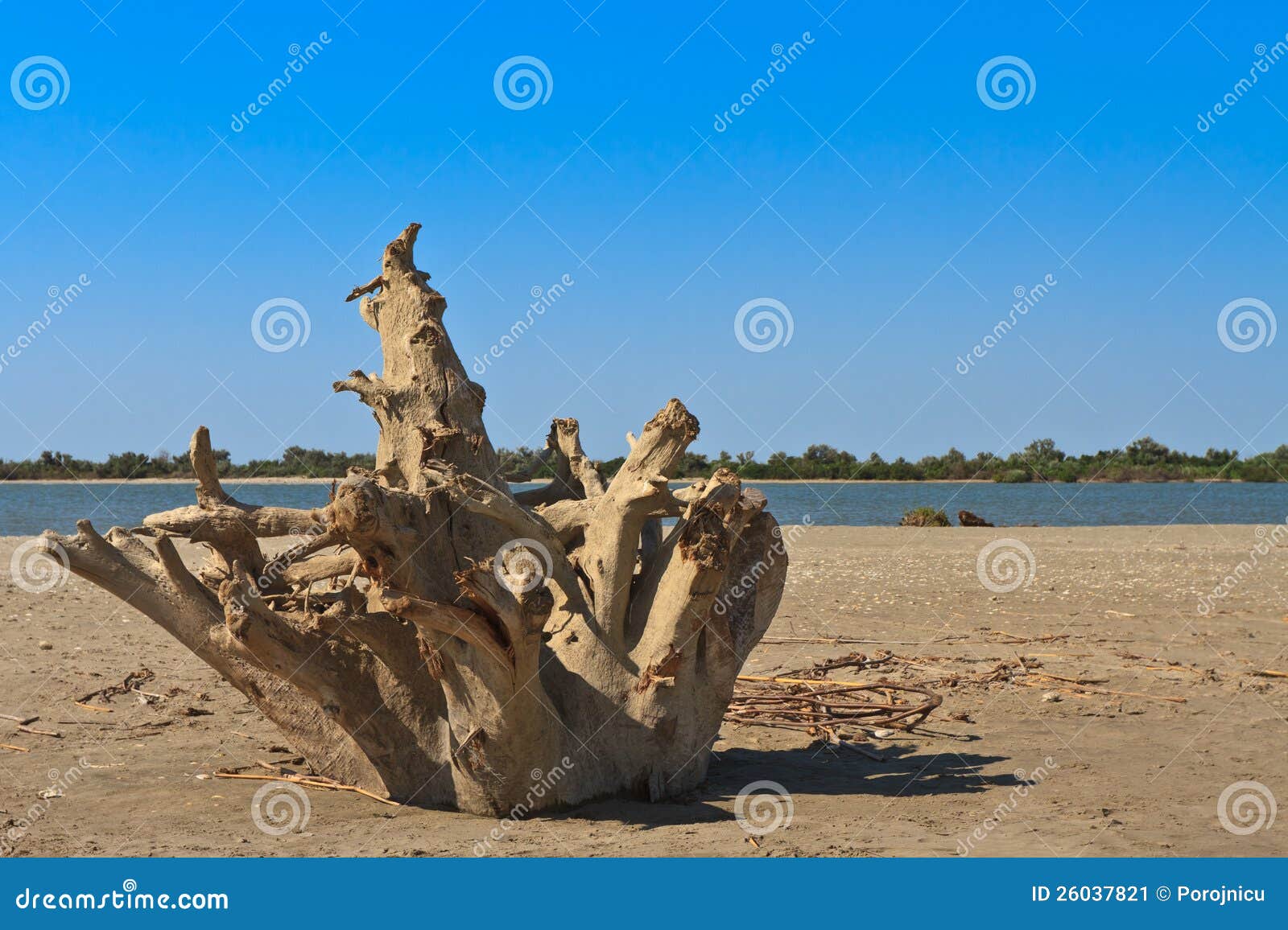 Wild beach stock image. Image of shore, summer, water - 26037821
