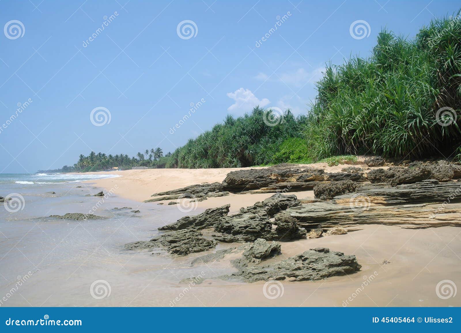 Wild beach on coast stock photo. Image of picturesque - 45405464