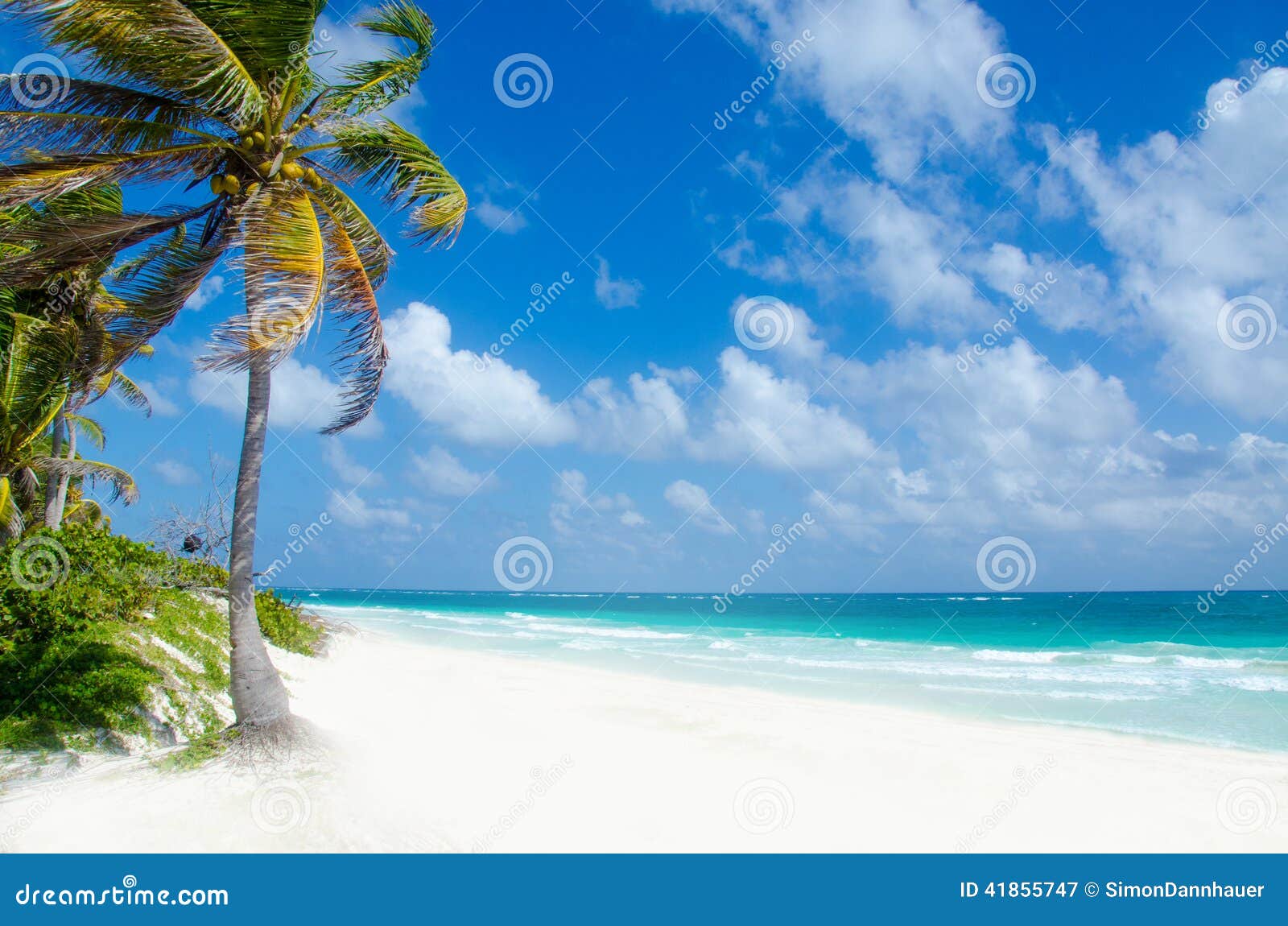 Wild Beach at Tulum stock image. Image of archipel, caribbean - 41855747