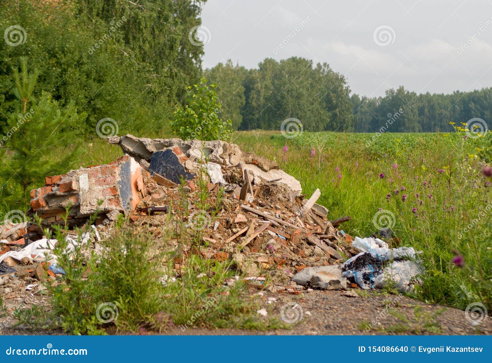 Among the Wild Beautiful Nature is a Garbage Heap Stock Photo - Image ...