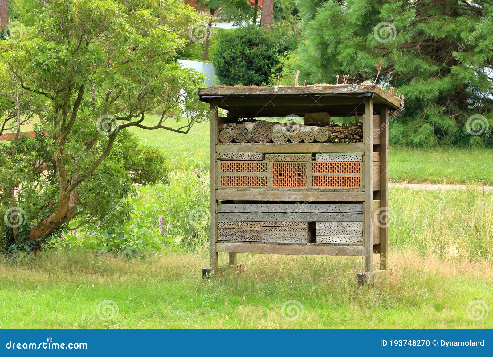 Wild Bee and Insect Shelter Hotel Stock Photo - Image of help, insect ...