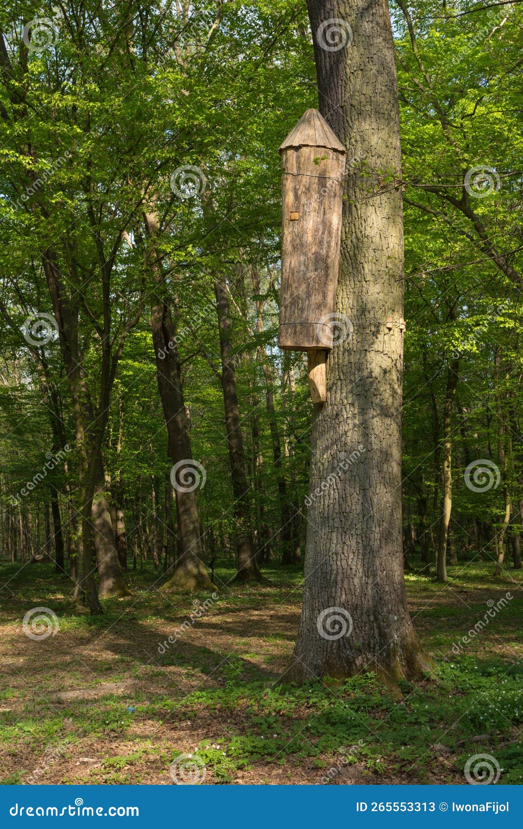 The Beehive, A Beehive Hanging From A Tree Stock Photography ... The Beehive, A Beehive Hanging From A Tree Stock Photography ...