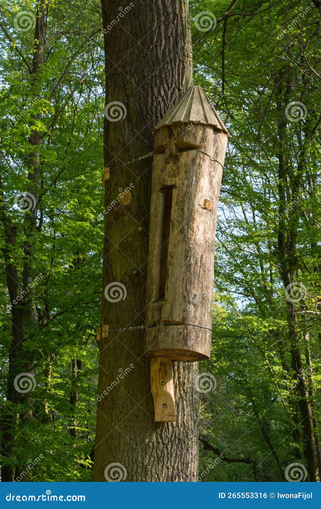 The Beehive, A Beehive Hanging From A Tree Stock Photography ... The Beehive, A Beehive Hanging From A Tree Stock Photography ...